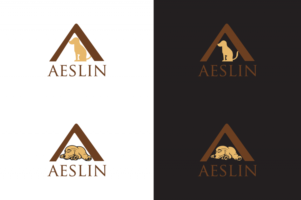 Aeslin Logo | Connor Warden