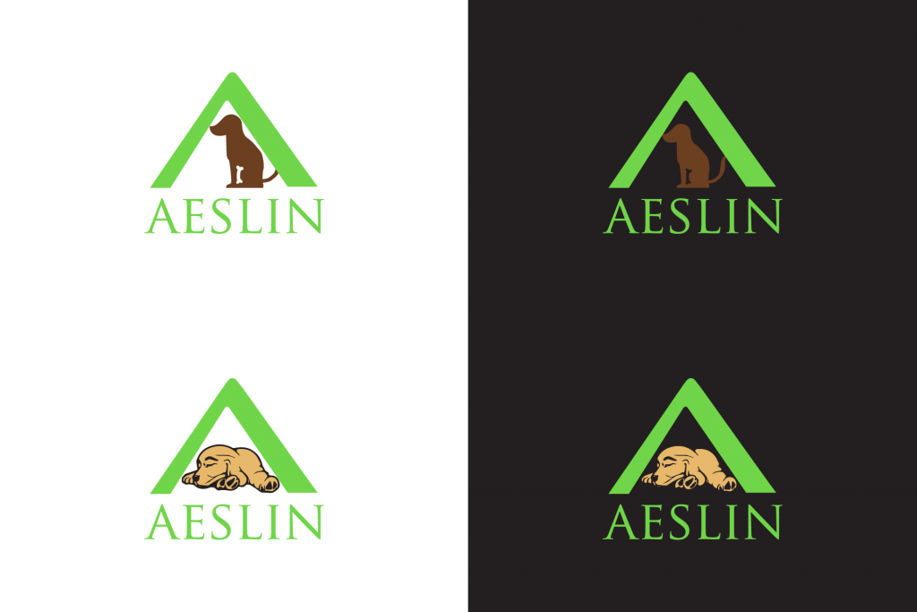 Aeslin Logo | Connor Warden