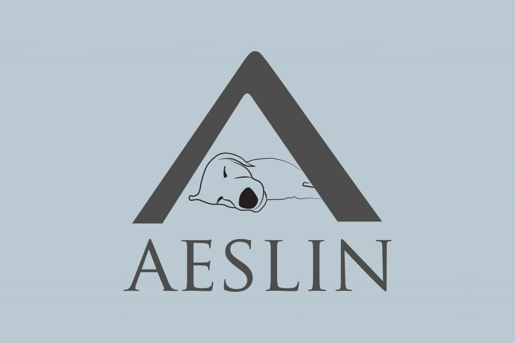 Aeslin Logo | Connor Warden