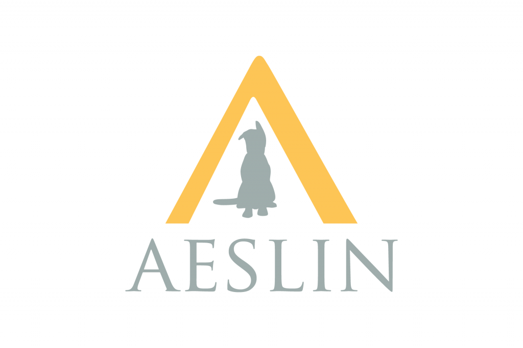 Aeslin Logo | Connor Warden