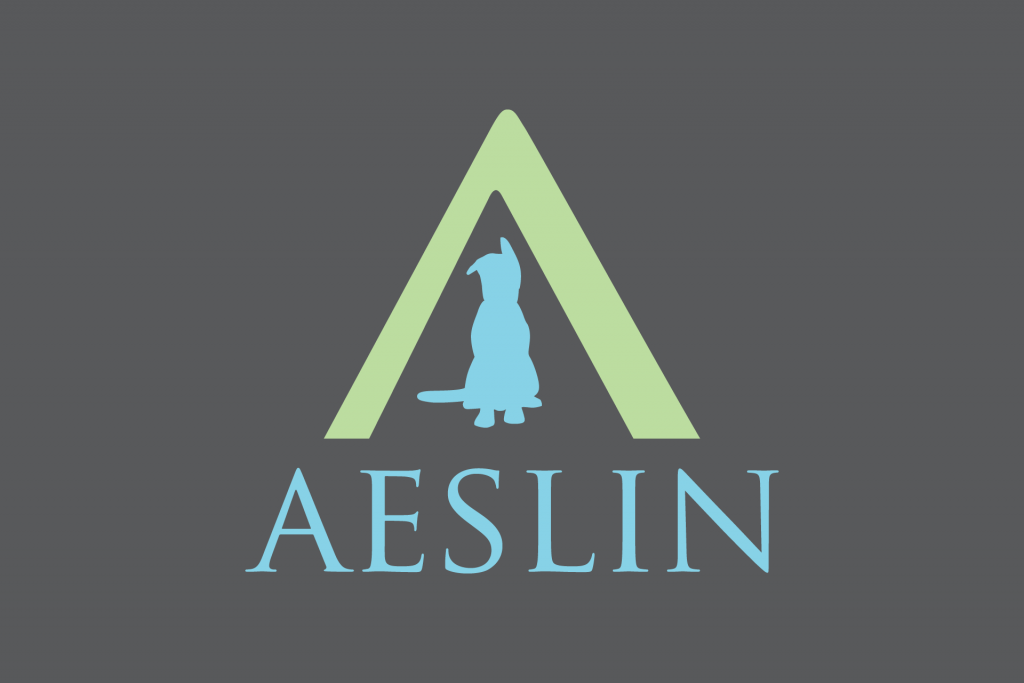 Aeslin Logo | Connor Warden