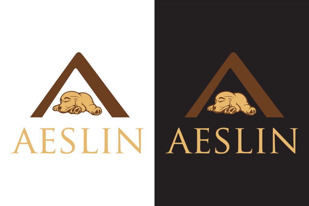 Aeslin Logo | Connor Warden